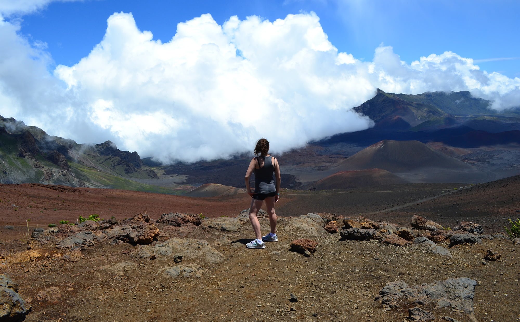 new-world - 1CRM: All-in-One CRM Software